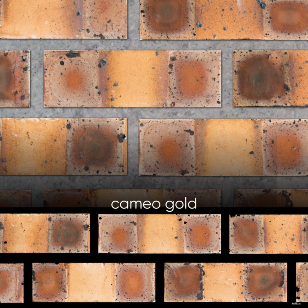 Cameo Gold Brick - Brick Tile Shop