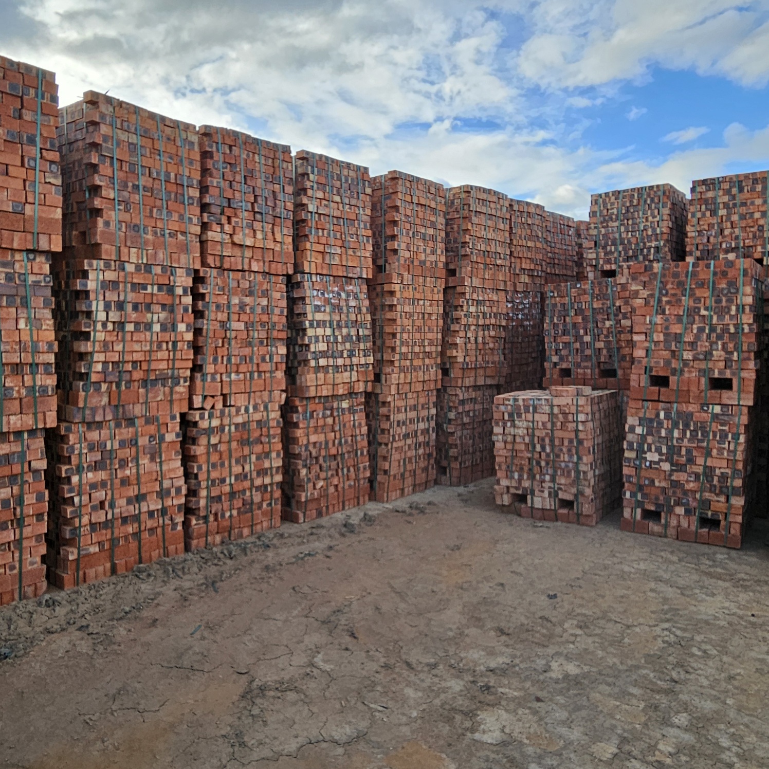 Clay Stock Brick (Solid) - Brick Tile Shop
