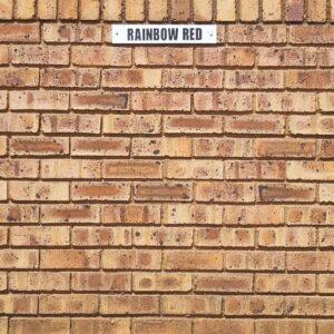 Rainbow Red Face Brick - Brick Tile Shop