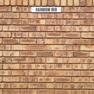 Rainbow Red Face Brick - Brick Tile Shop