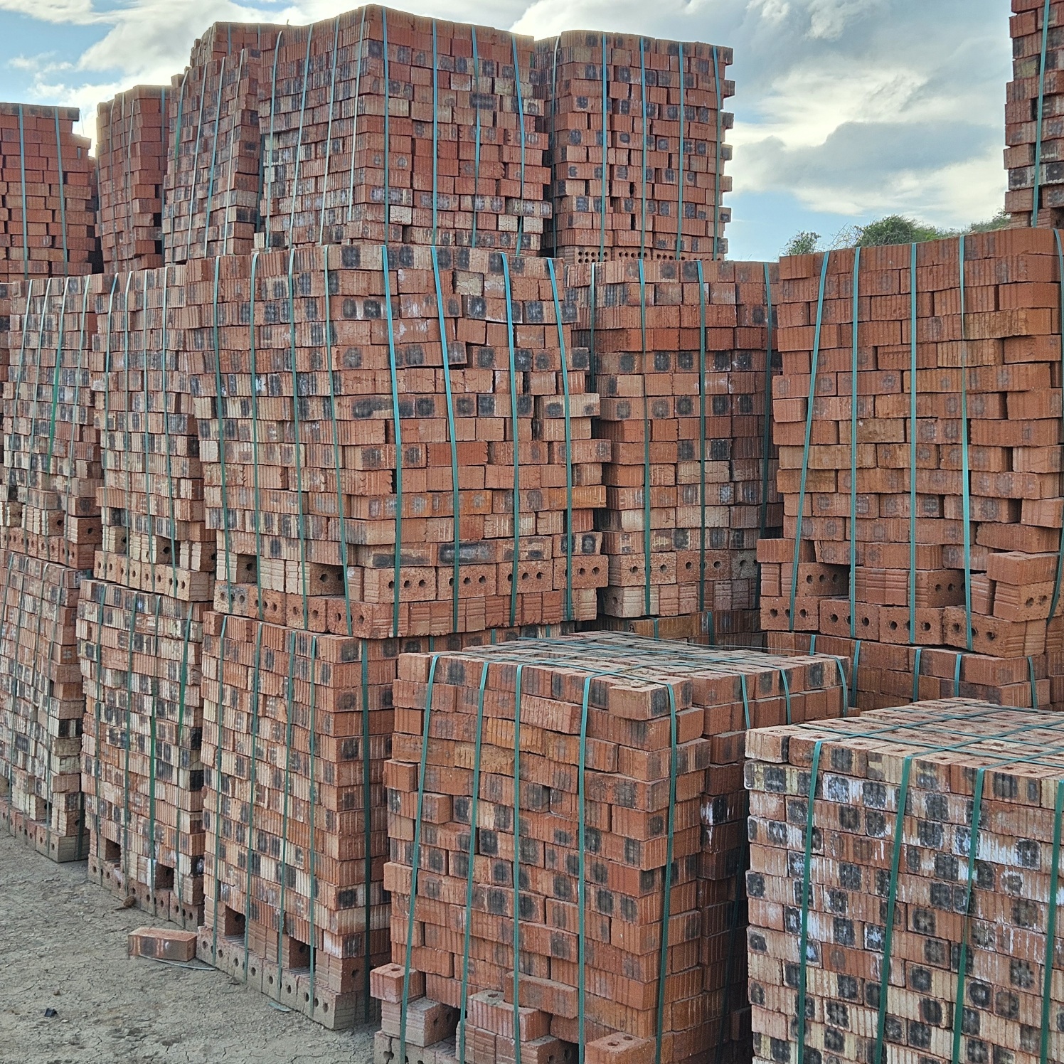 Clay Stock Brick (Perforated) - Brick Tile Shop