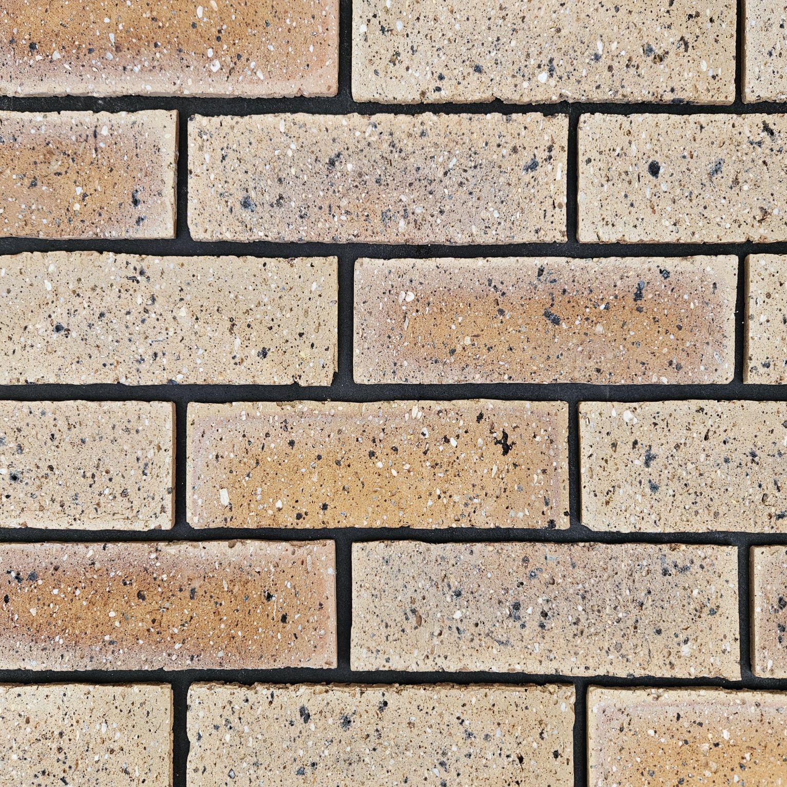 Face Bricks vs. Clay Stock Bricks: What’s Best for Building in South ...