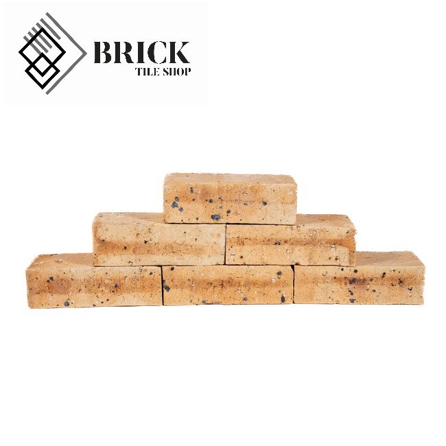 Ivory Travertine Face Brick (FBA) - Brick Tile Shop
